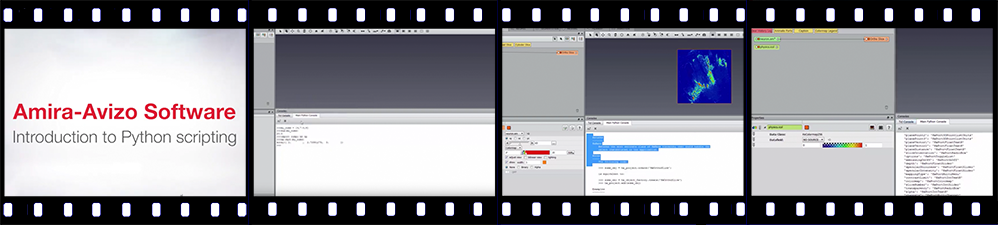 Work with AMIRA « Neutron Imaging